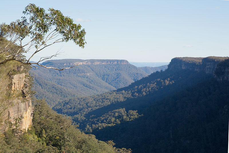 Kangaroo Valley » Jackie Cooper, Manly Photographer